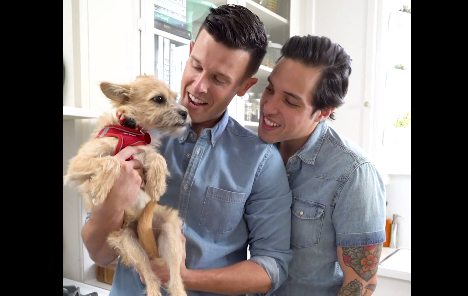 Watch Married And Hungry — Gay Ch · Alles Bleibt Anders