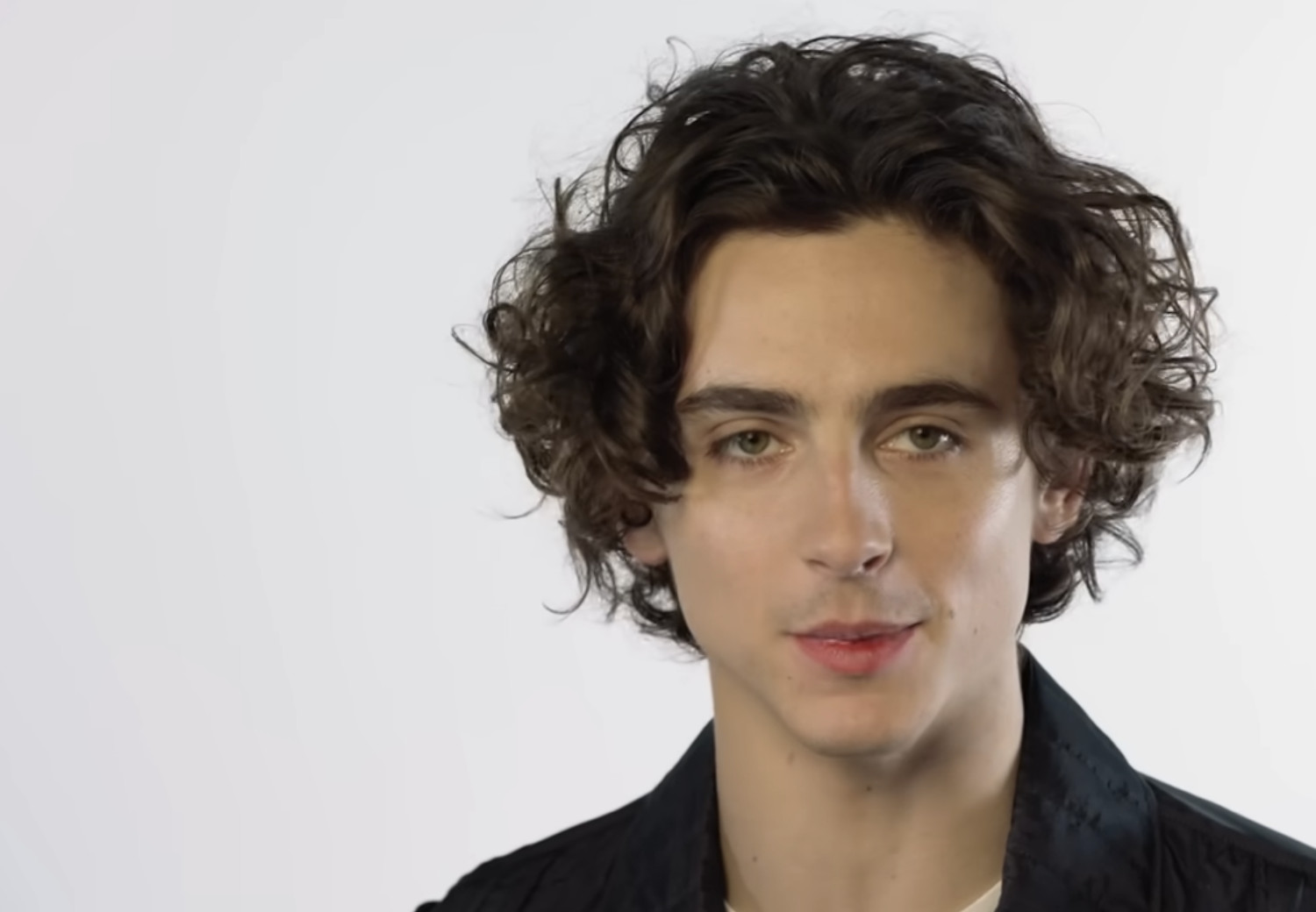 Watch: Timothée Chalamet spricht über Bones And All — GAY.CH · Alles ...